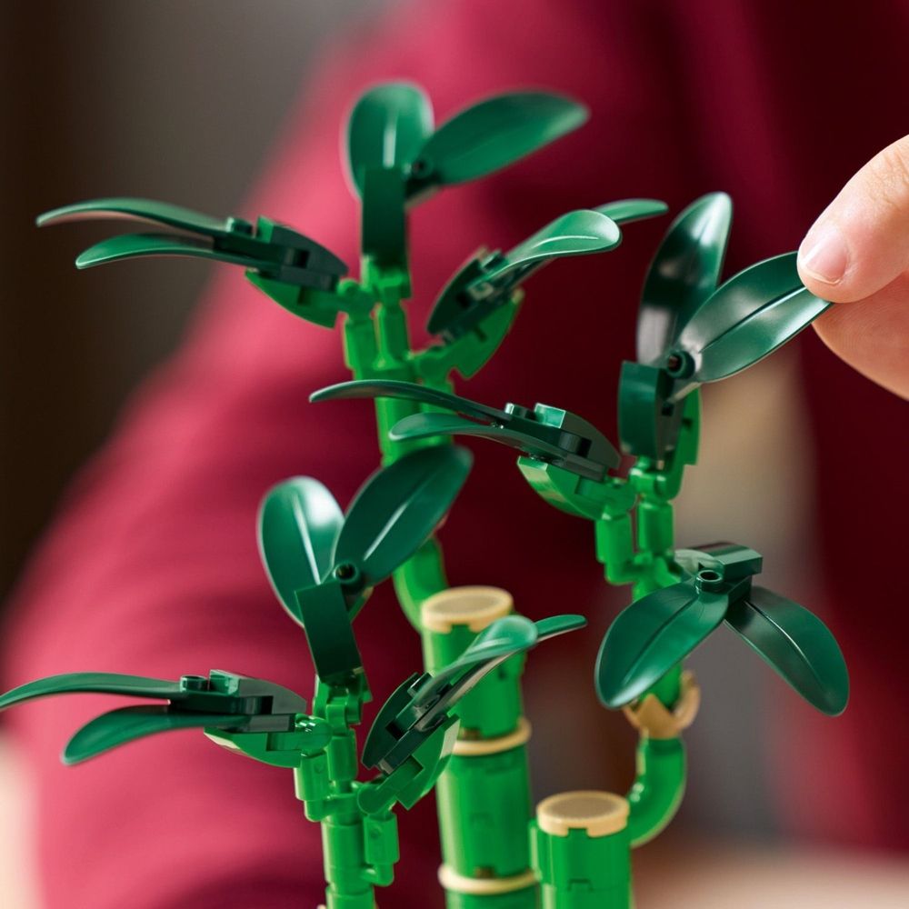 LEGO | LEGO® Botanicals 10344 Lucky Bamboo (Toys,Adult Playset,Floral ...