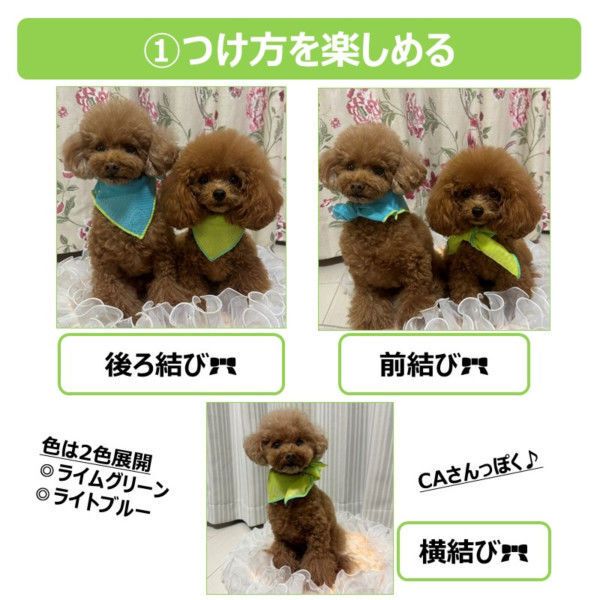 Earth Pet | Japanese flea and tick bandage (green) Suitable for s and m ...