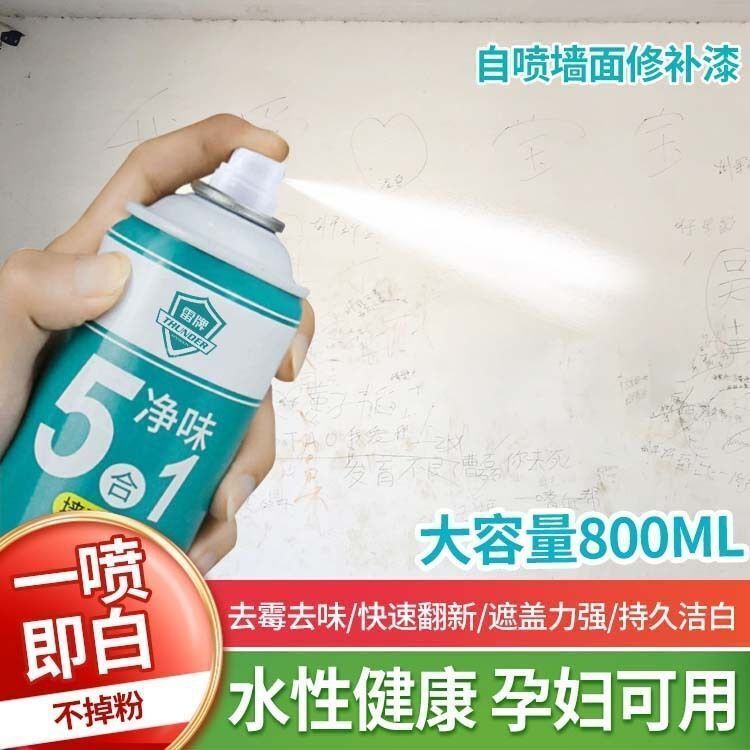 全城熱賣 | Y118 【800ml】牆面修補漆 牆身速補修復漆 牆面修復噴漆 自噴乳膠漆 塗鴉污漬翻新膠 白色油漆 | HKTVmall ...