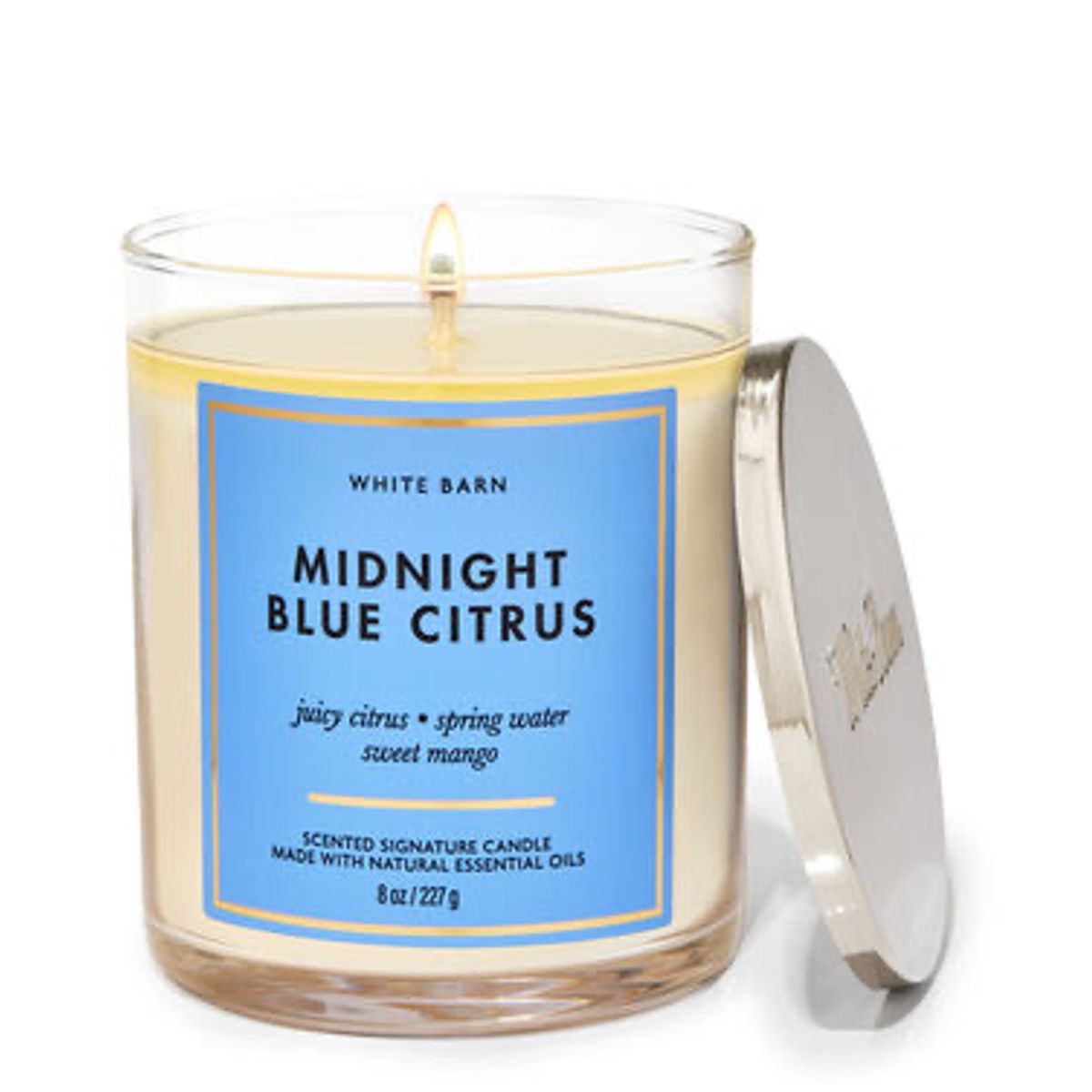 Bath & Body Works | MIDNIGHT BLUE CITRUS Signature Single Wick Candle ...