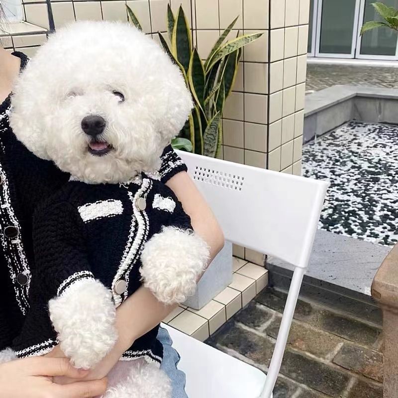全城熱賣 | New Chanel dog clothes | Size : XS | HKTVmall The Largest HK ...