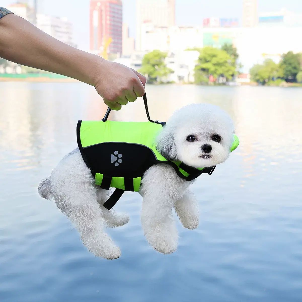 Shipped from Mainland | New dog clothes with handle for rescue, outdoor ...