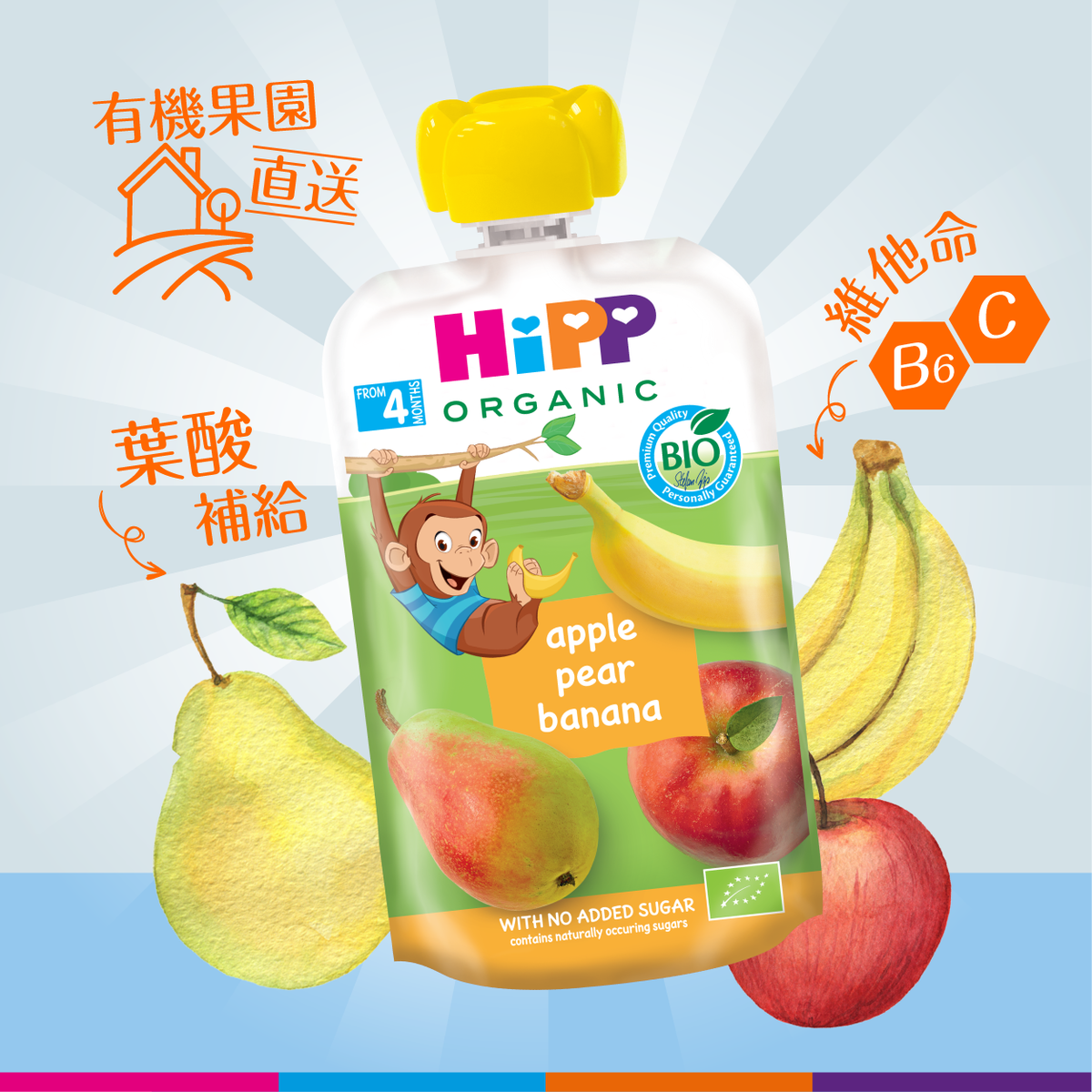 HiPP | Organic Apple Pear Banana 6 PCS (40918) (Best Before: 02/08/2026 ...