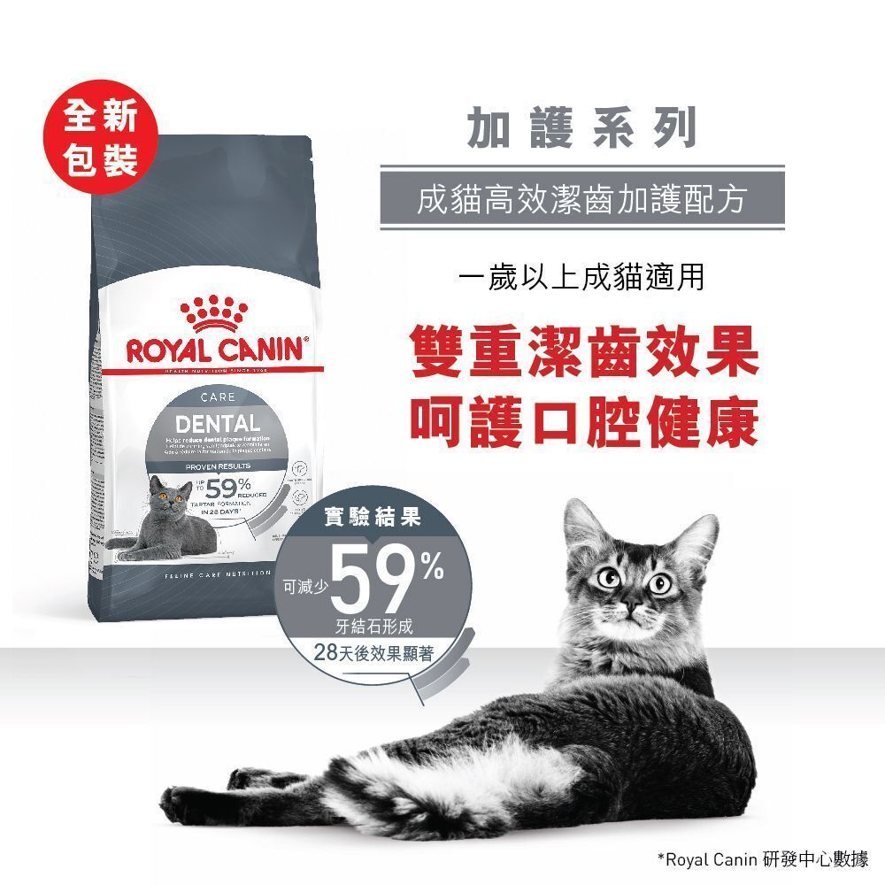ROYAL CANIN | FCN Dental Care Adult Cat Food (8kg) Royal Canin Dental ...
