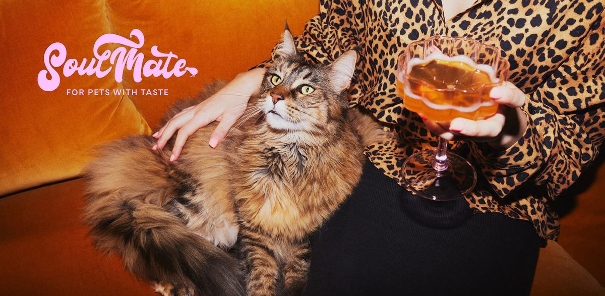 SoulMate | Can Can Can North Island Chicken Cat Food 85g SOU1058 ...