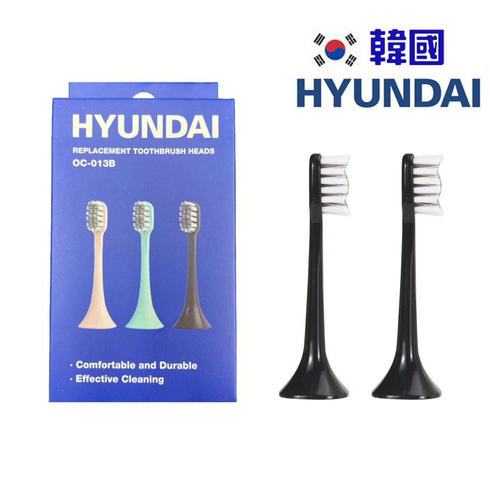 現代 | PBT 原廠刷頭 *2 適用於 韓國Hyundai OC-013 (黑色替換裝) | HKTVmall 香港最大網購平台