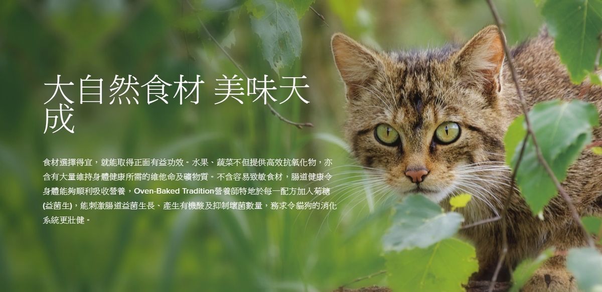OVEN-BAKED Tradition | 北美走地雞配方成貓貓乾糧 10lbs #OB成貓雞10 | HKTVmall 香港最大網購平台