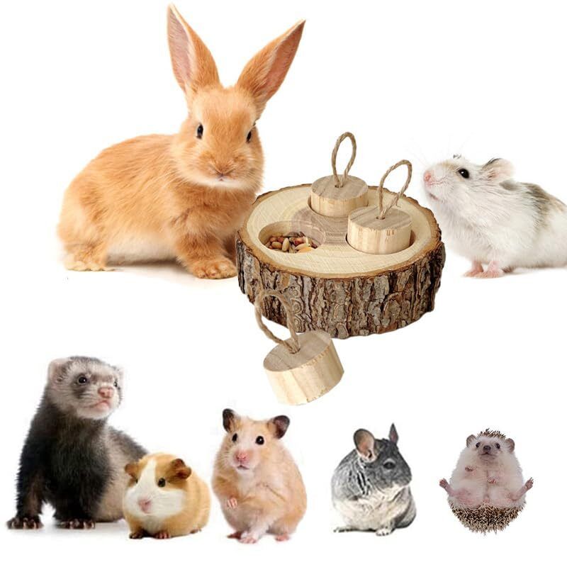 GEMGOAL | Wooden hamster foraging box combines snacks and teeth ...