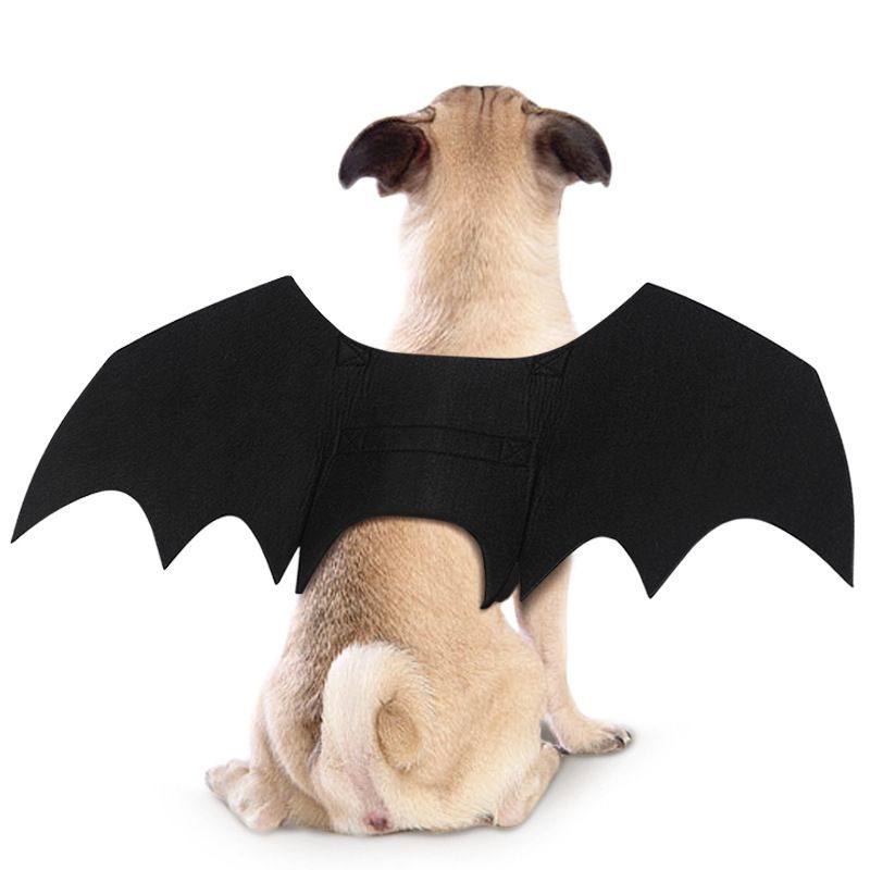 Others | Pet Transformation Costume Cat Dog Bat Wings Funny Pet ...