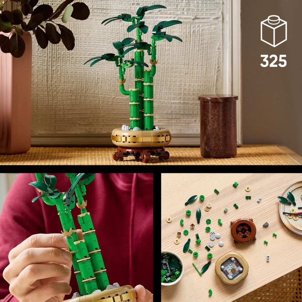 LEGO | LEGO® Botanicals 10344 Lucky Bamboo (Toys,Adult Playset,Floral ...